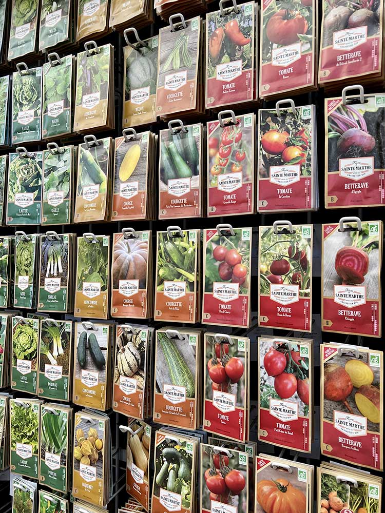 Plantes Extérieures | Jardinerie Potiez de Montbéliard